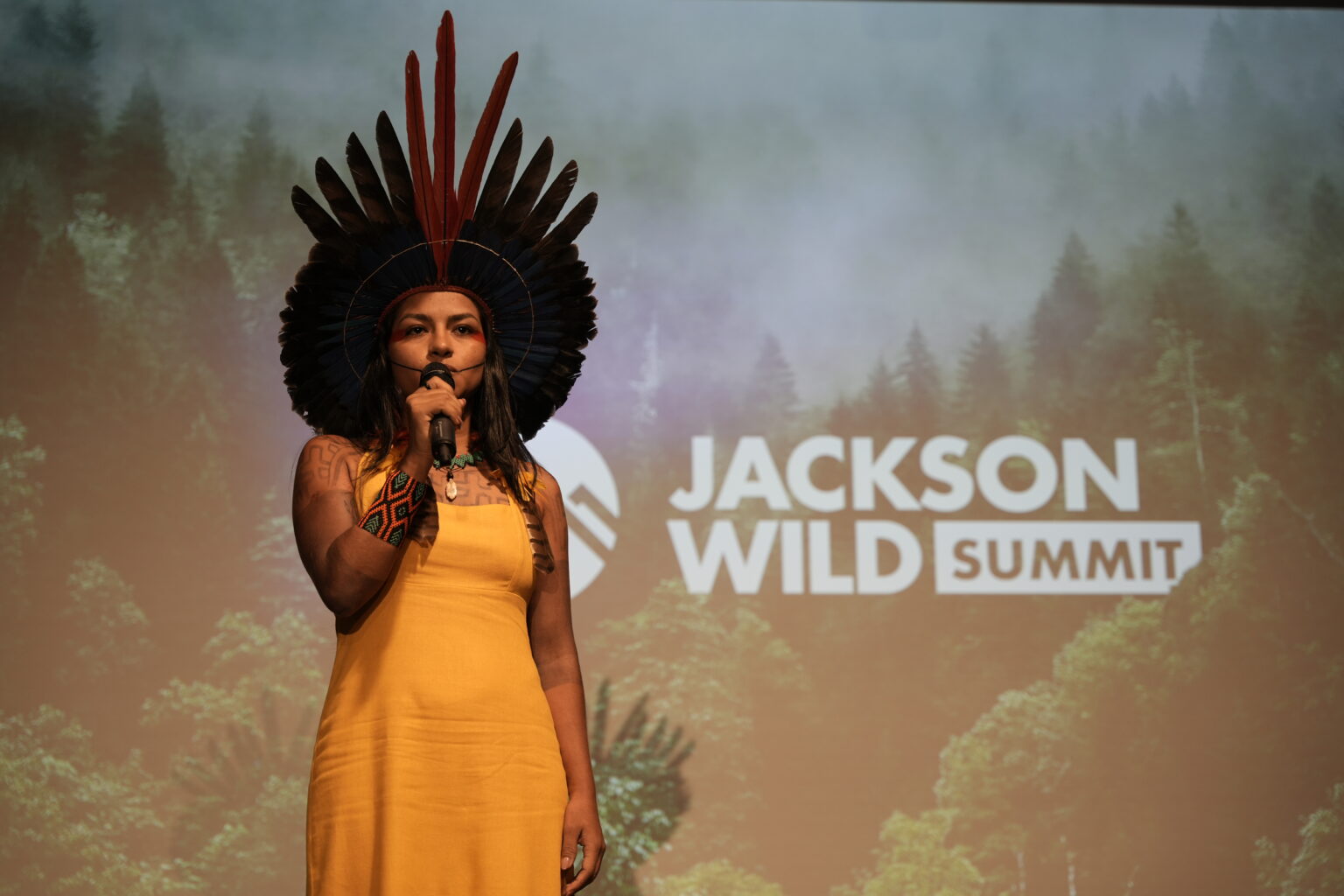 Jackson Wild Film Fetival – Instituto Juma